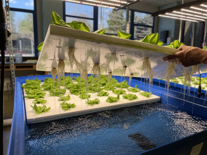 Aquaponics | Bishop Walsh School